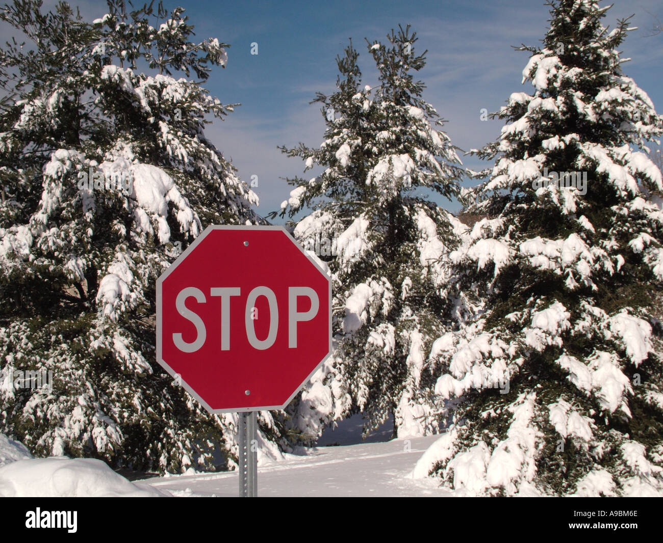 AJD42591, road sign, Stop Sign Stock Photo - Alamy