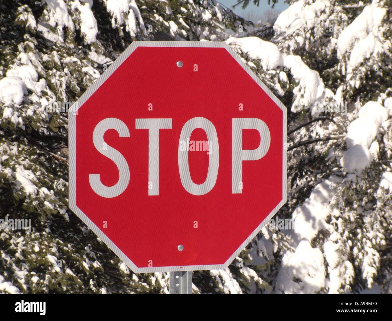 AJD42592, road sign, Stop Sign Stock Photo - Alamy