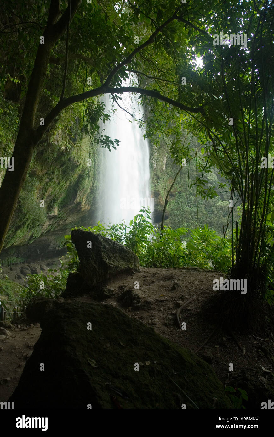 Misol ha waterfall - Chiapas - Mexico Stock Photo - Alamy