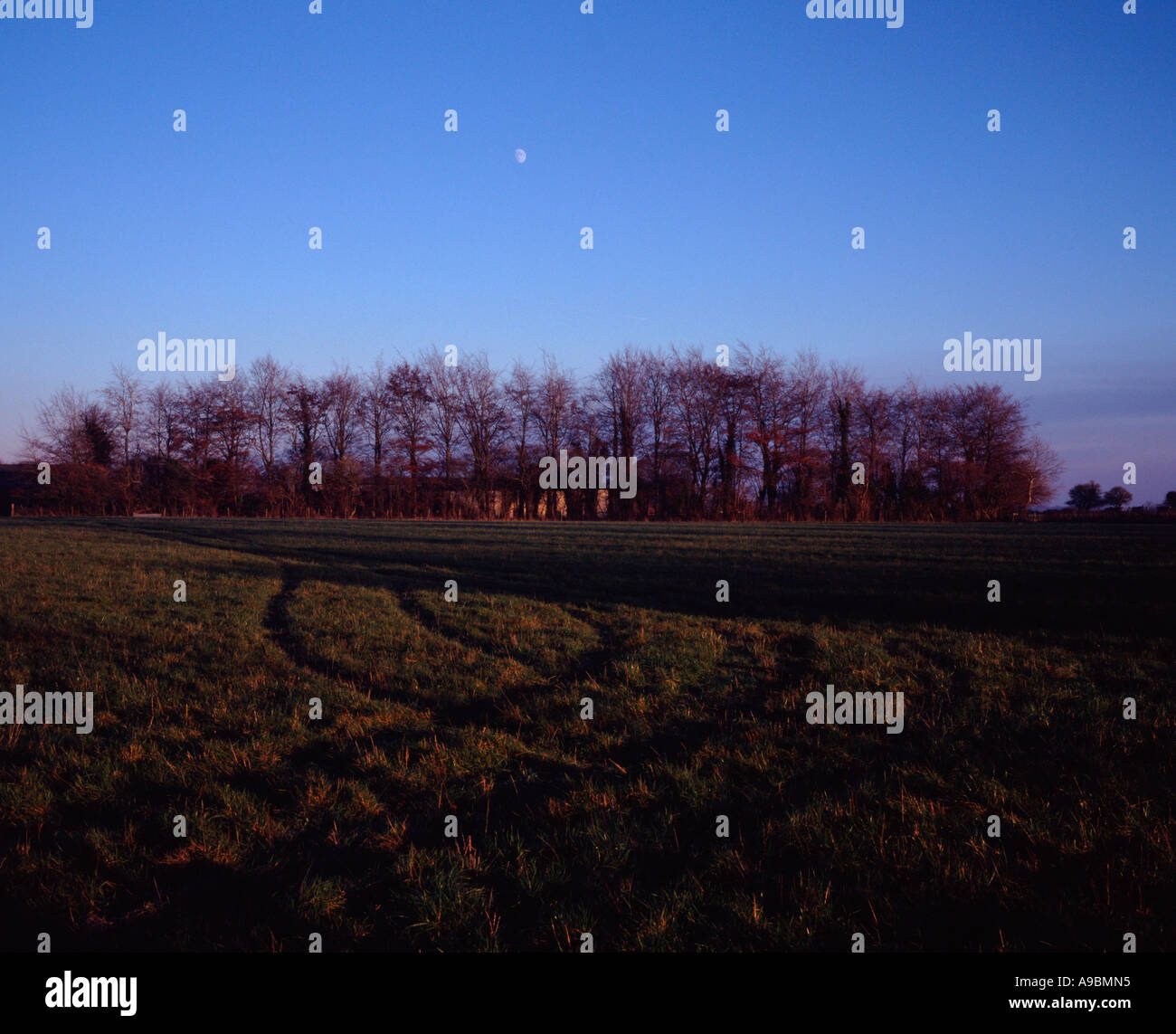 Skyline walk bath hi-res stock photography and images - Alamy