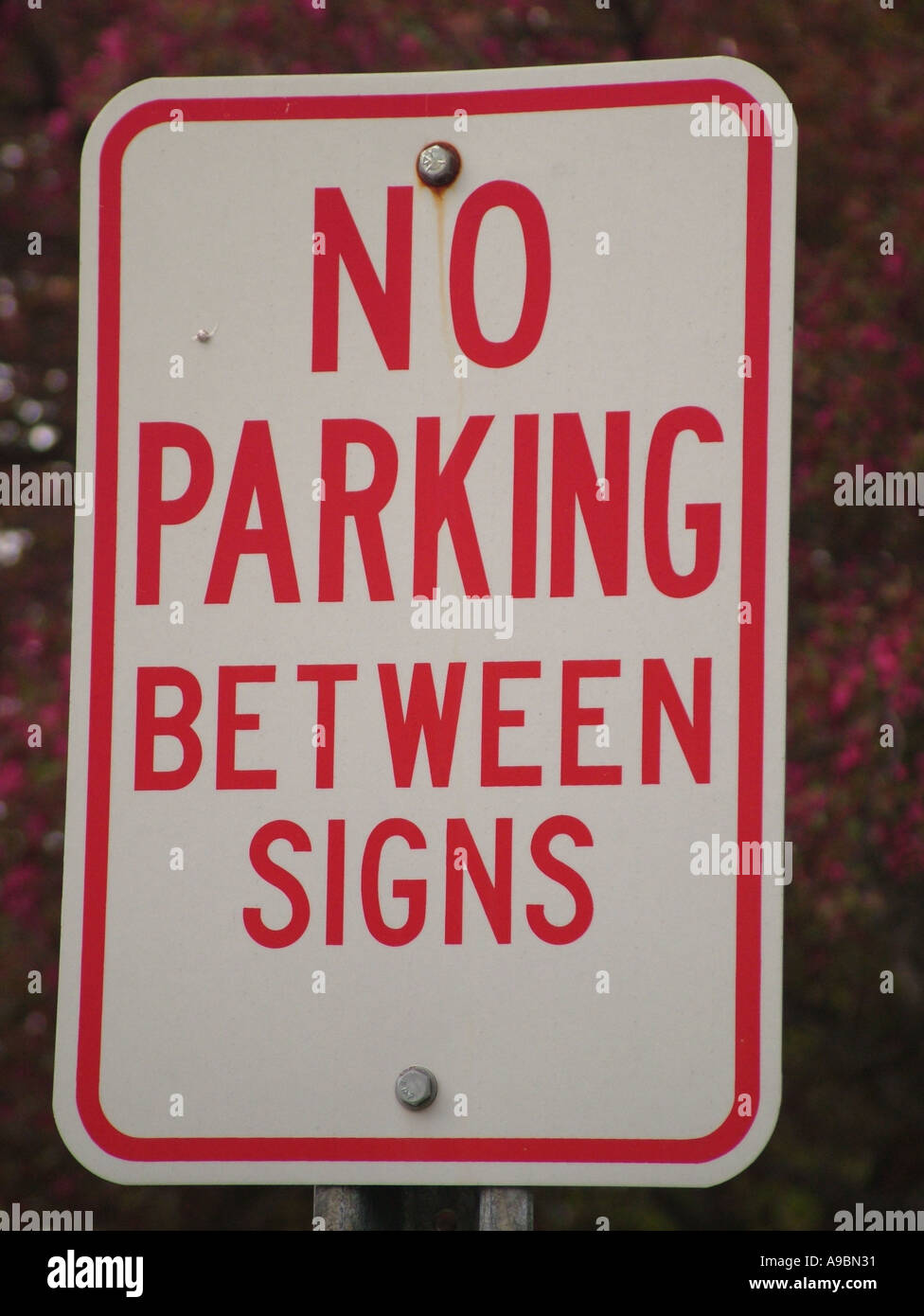 AJD42654, road sign, No Parking Between Signs Stock Photo - Alamy
