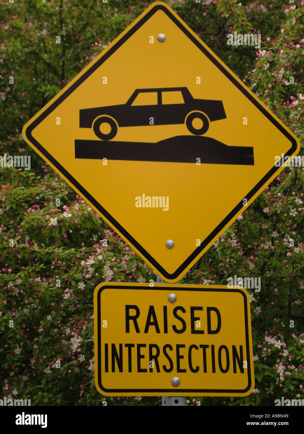 AJD42661, road sign, Raised Intersection sign, speed bump Stock Photo ...