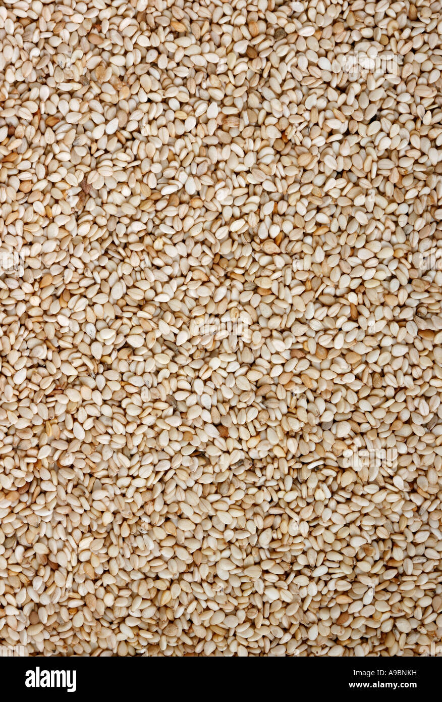 Macro background image of a sesame seeds Stock Photo - Alamy