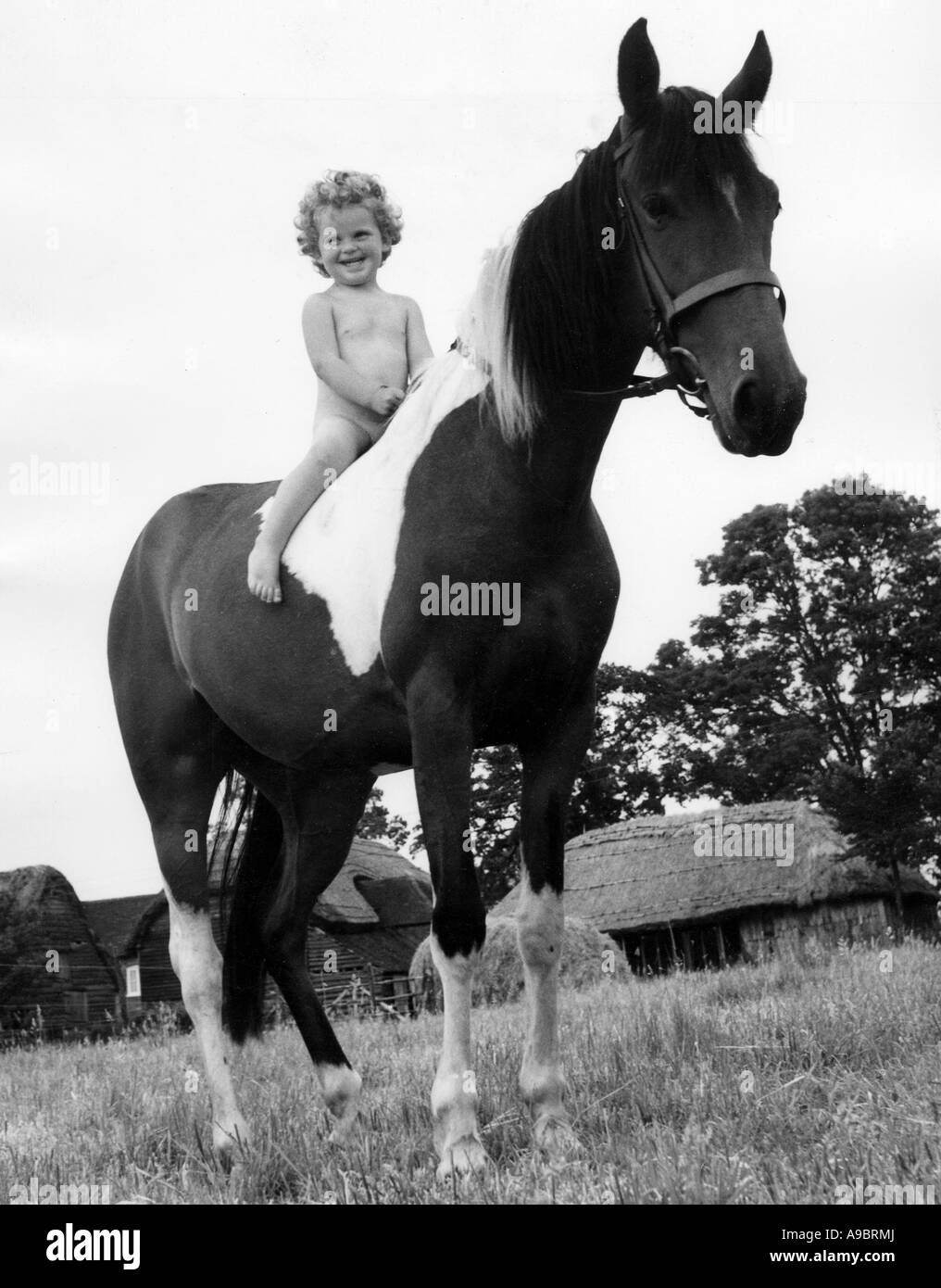 Girls horse Black and White Stock Photos & Images - Alamy
