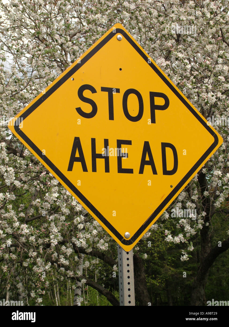 Stop ahead traffic sign usa hi-res stock photography and images - Alamy