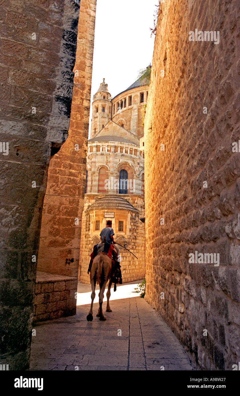 A camel in the old city of Jerusalem, Israel Stock Photo - Alamy