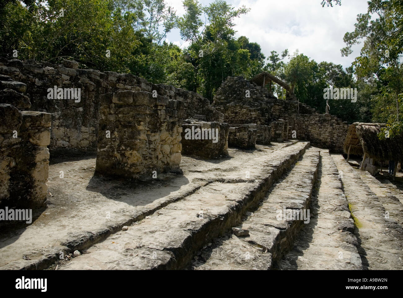 Coba church stairs - Yucatan - Mexico Stock Photo - Alamy