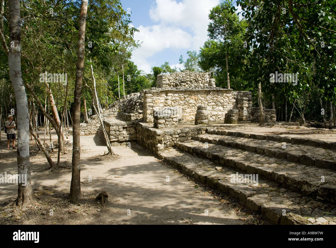 Coba near ballcourt - Yucatan - Mexico Stock Photo - Alamy
