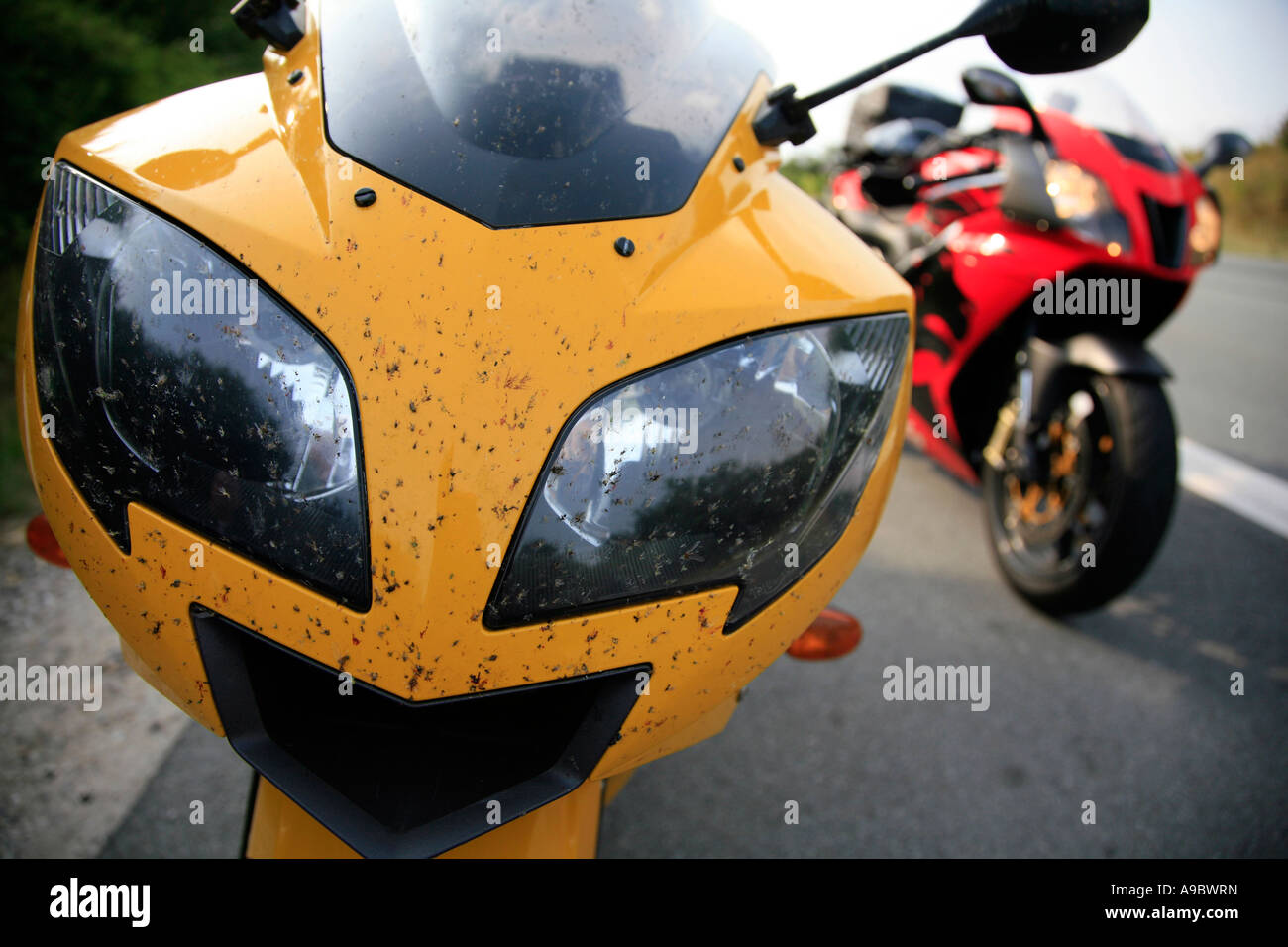 Front motorcycle hi-res stock photography and images - Alamy