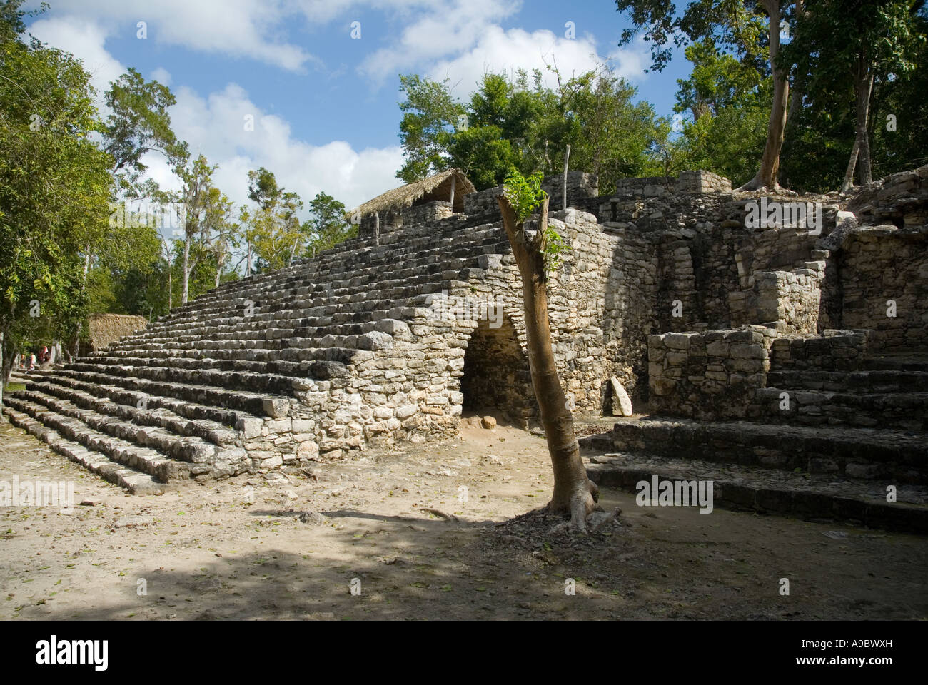 Mexico Yucatan Coba Great Pyramid Peninsula Religion High Resolution ...