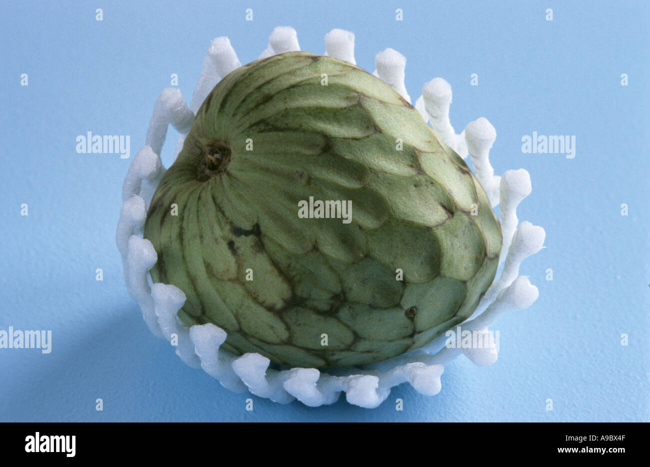 Custard apple images hi-res stock photography and images - Alamy