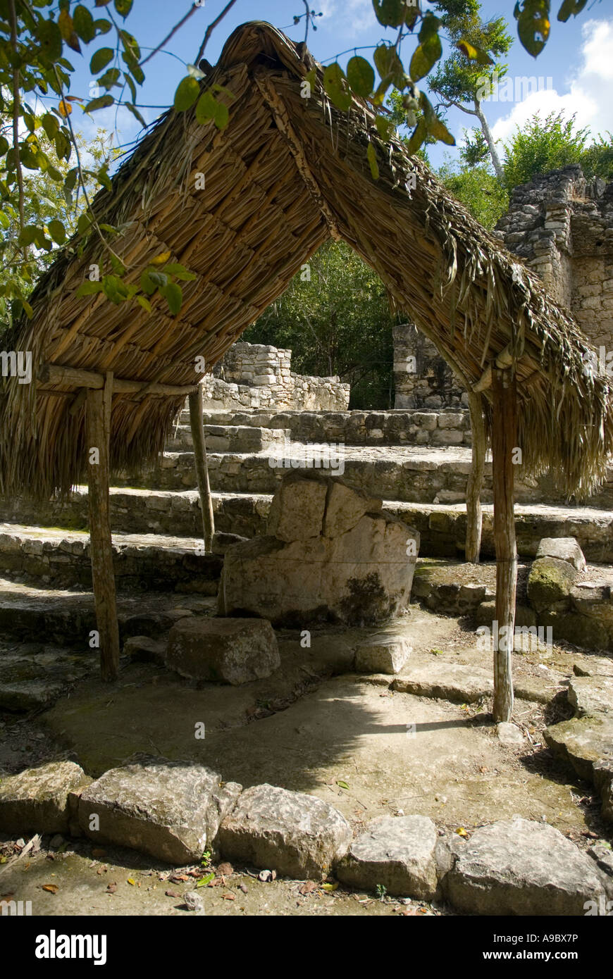 Coba ruins - Yucatan - Mexico Stock Photo - Alamy