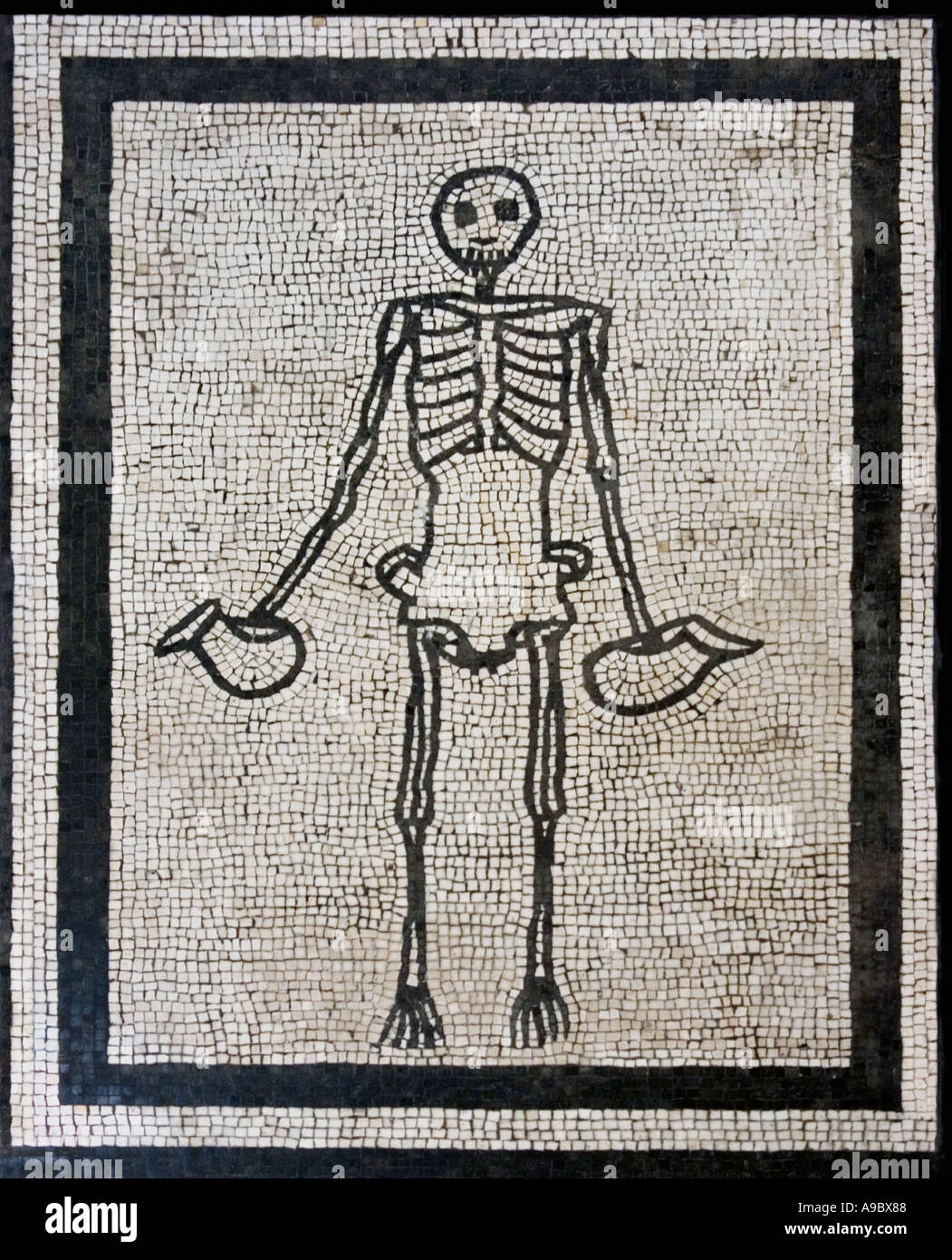 Pompeii mosaic hi-res stock photography and images - Alamy
