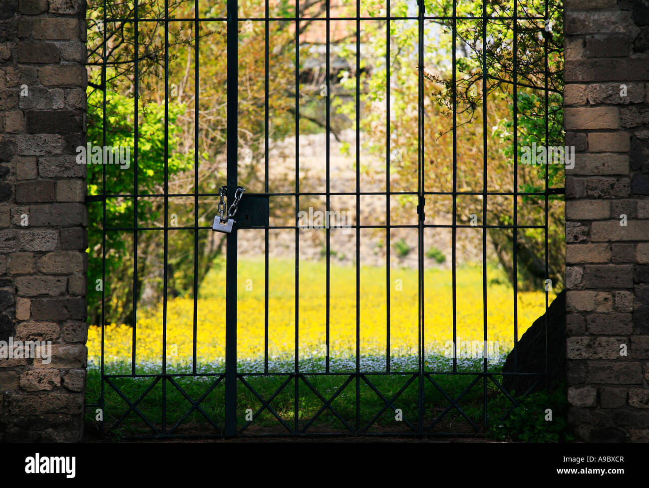 Locked gate with field of flowers behind Stock Photo - Alamy