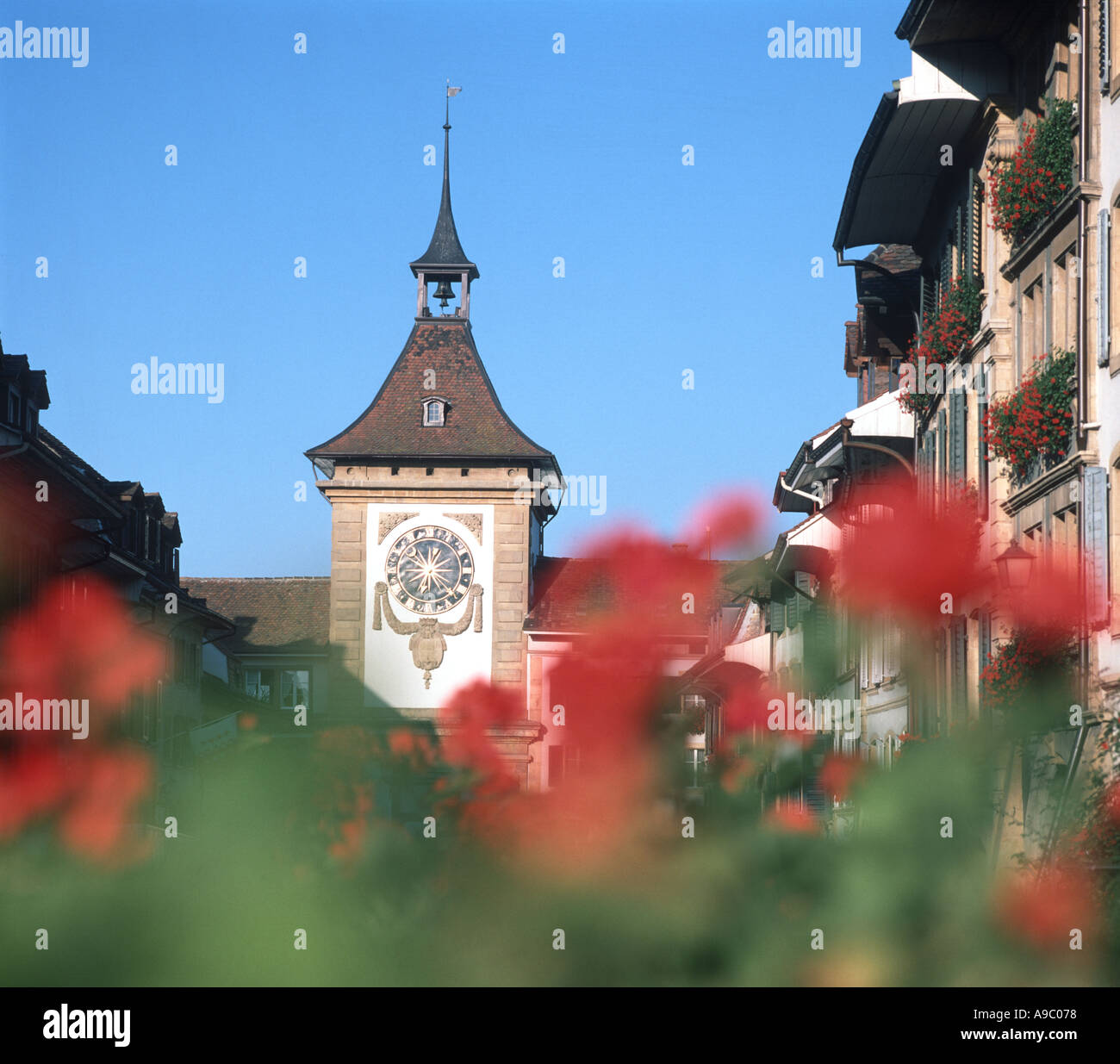 Preserved High Resolution Stock Photography and Images - Alamy