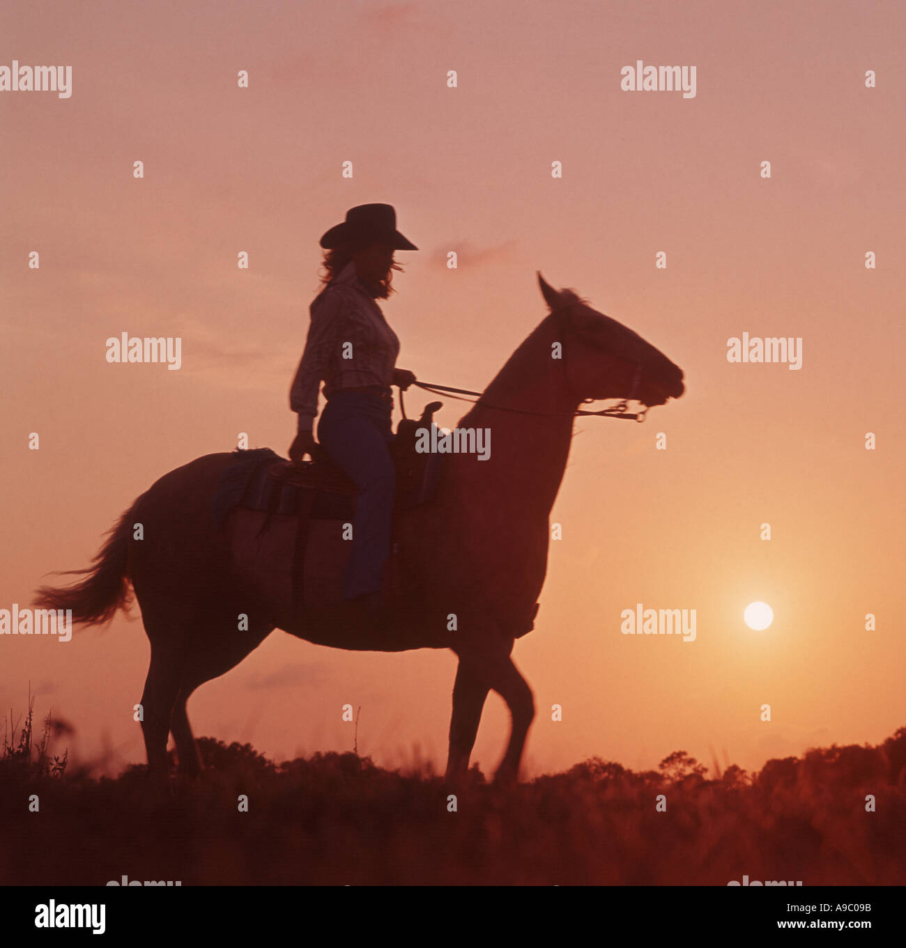 Young woman riding horseback sunset hi-res stock photography and images ...