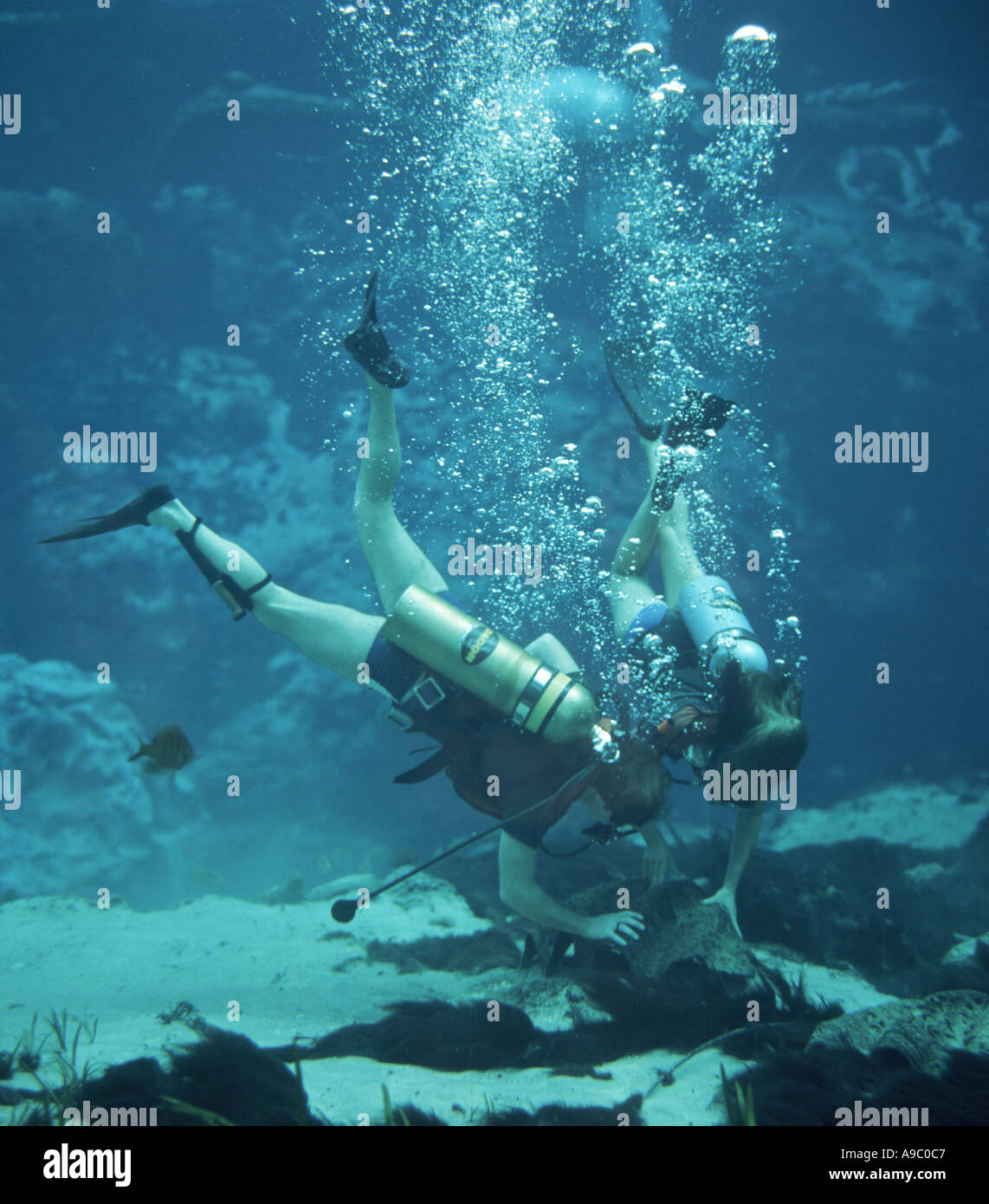 Two scuba divers swimming underwater hi-res stock photography and ...