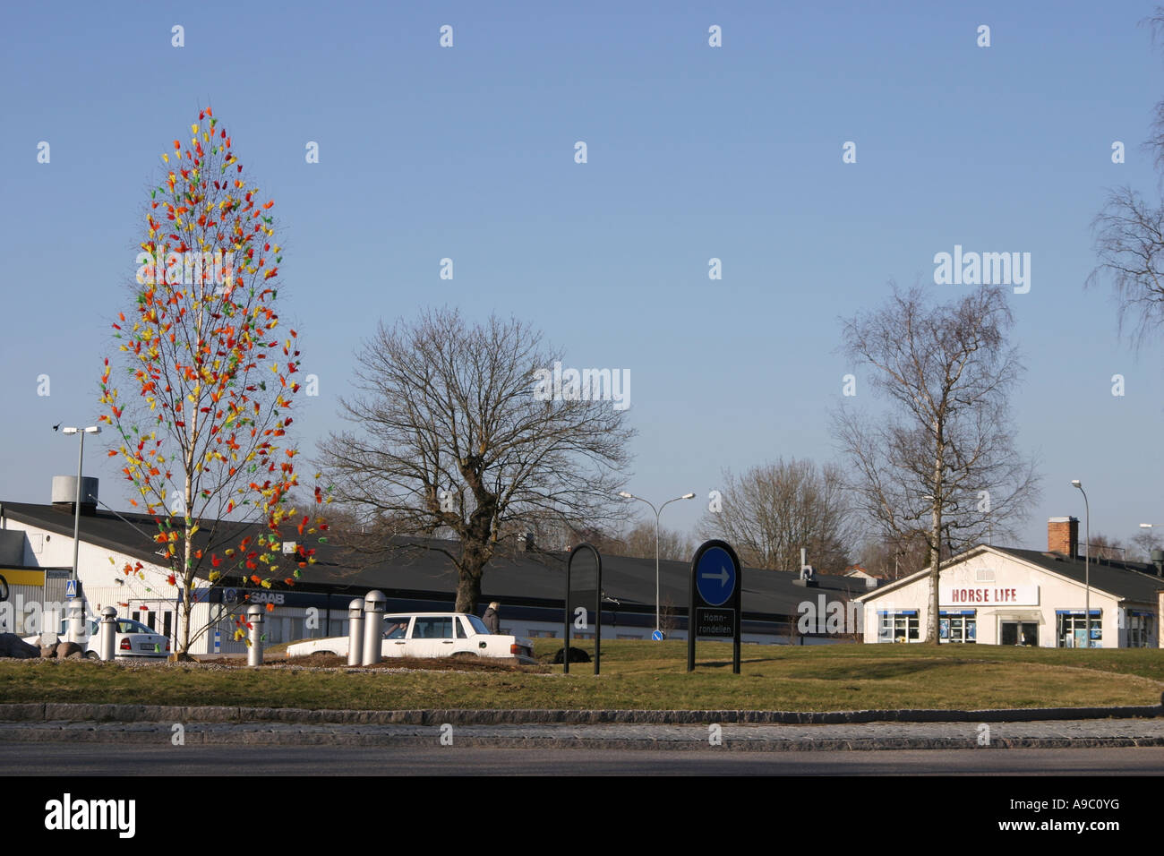 Birch treee with colorful feathers as an easter decoration in a ...