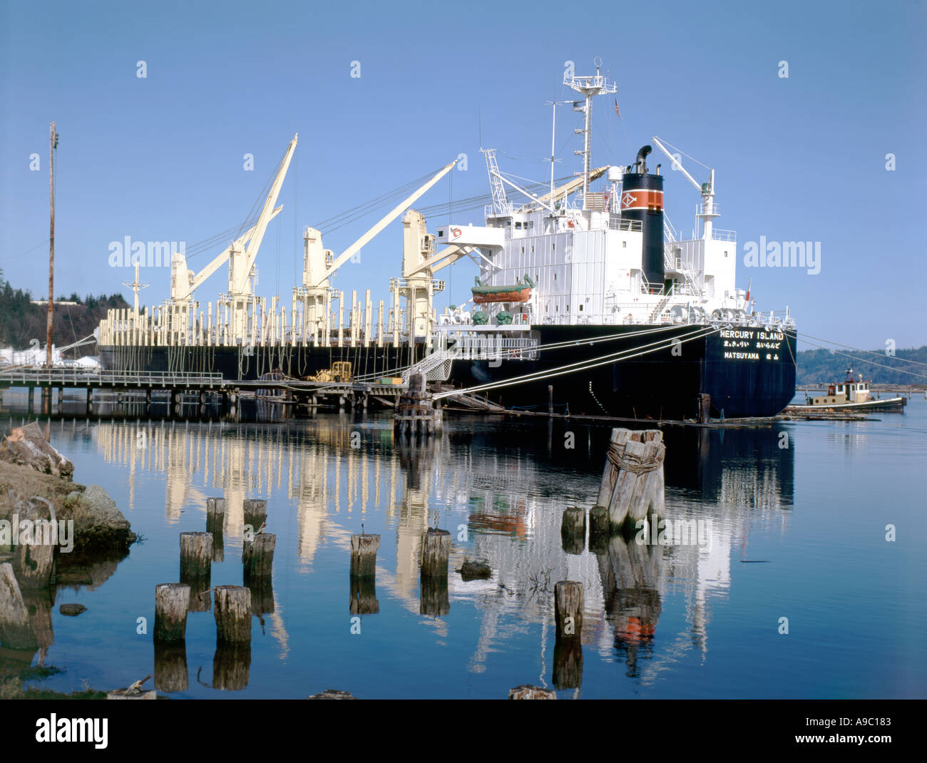 Ocean freighter Mercury Island busy loading Oregon logs in the Port of ...