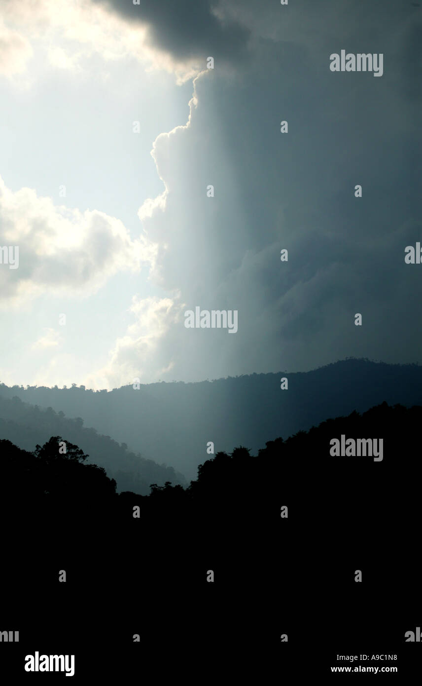 Cloud forest darien national park hi-res stock photography and images ...