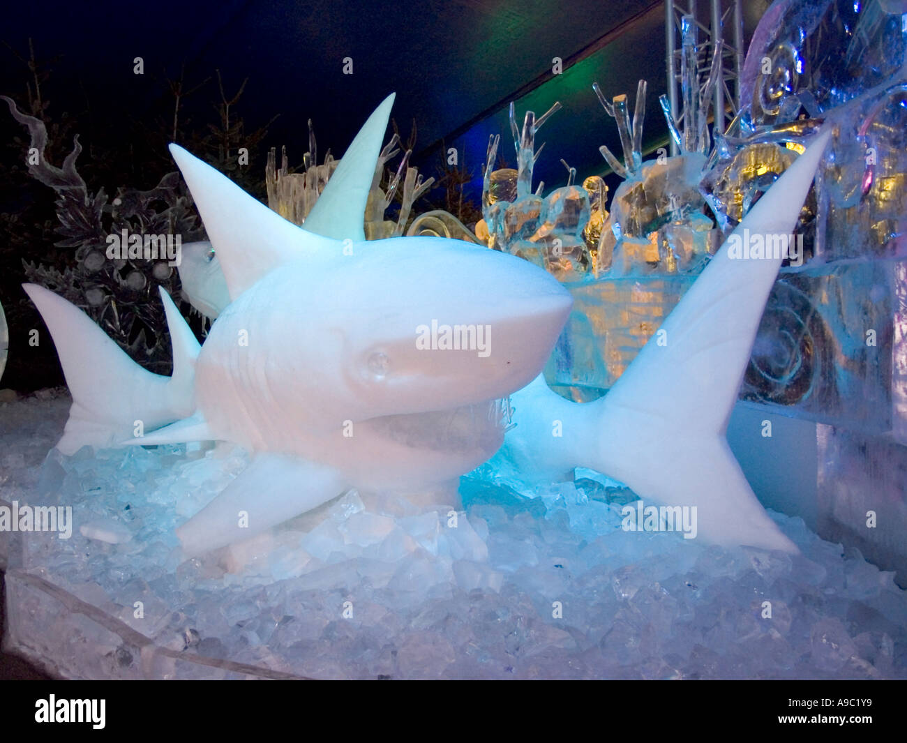 Ice sculpture shark Stock Photo - Alamy