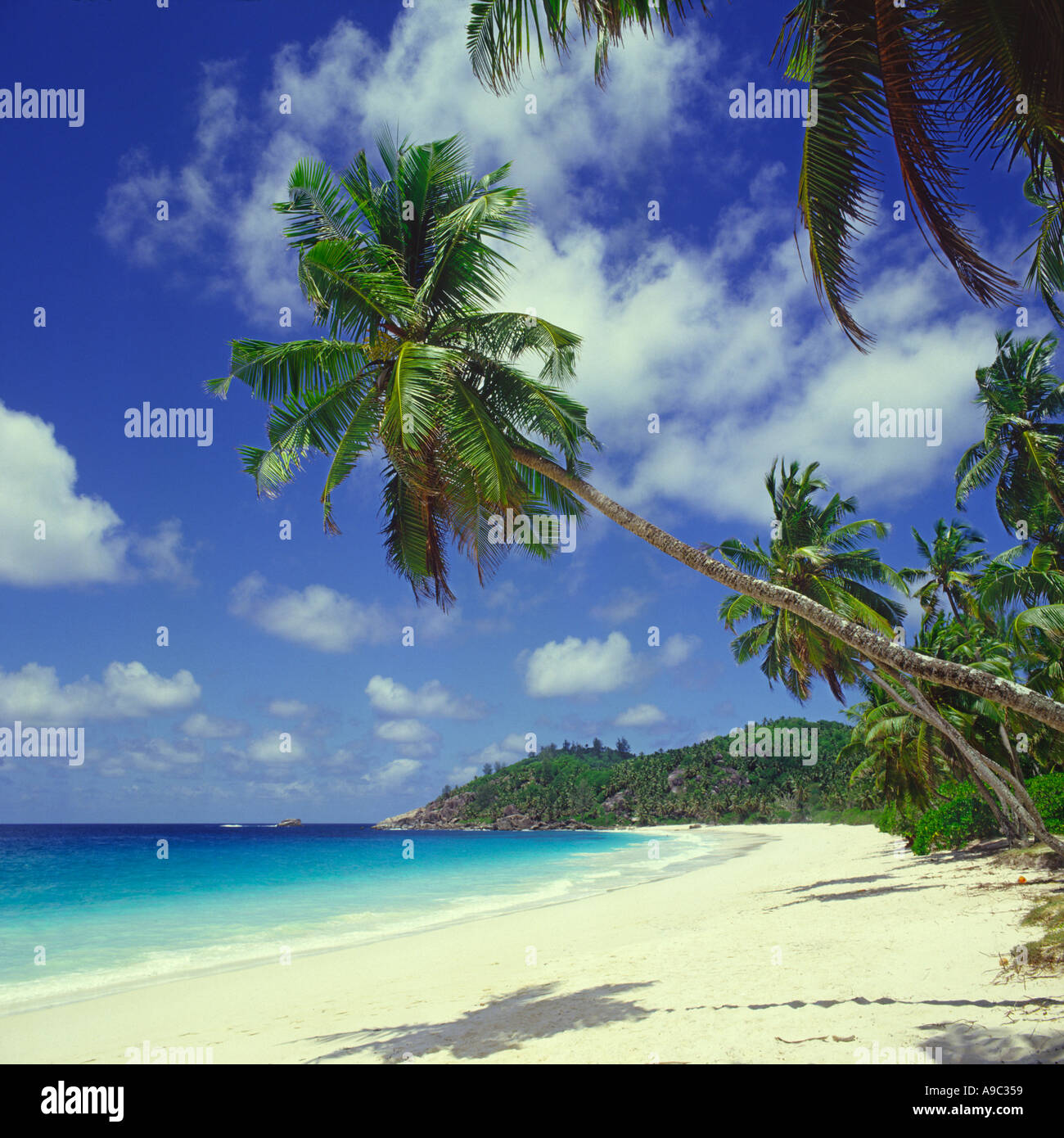 Looking along beautiful curved typical tropical desert island style ...