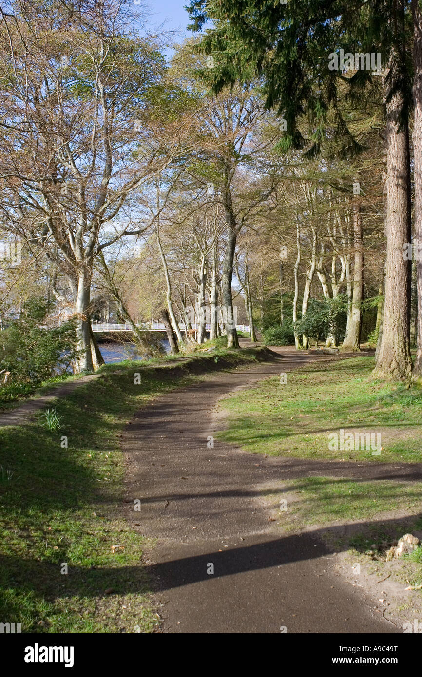 Ness Islands, Inverness Stock Photo - Alamy