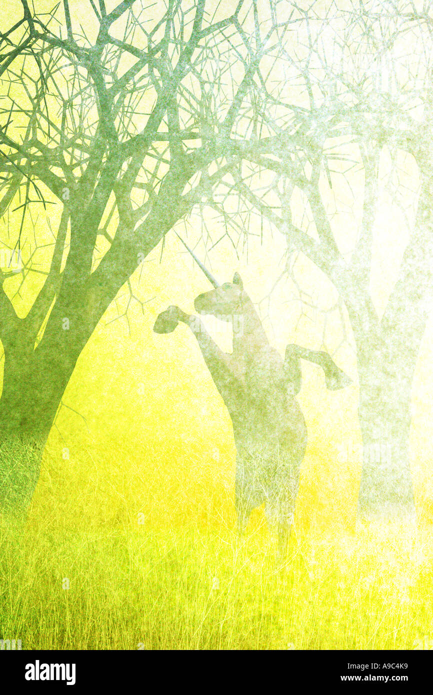 Rearing unicorn hi-res stock photography and images - Alamy