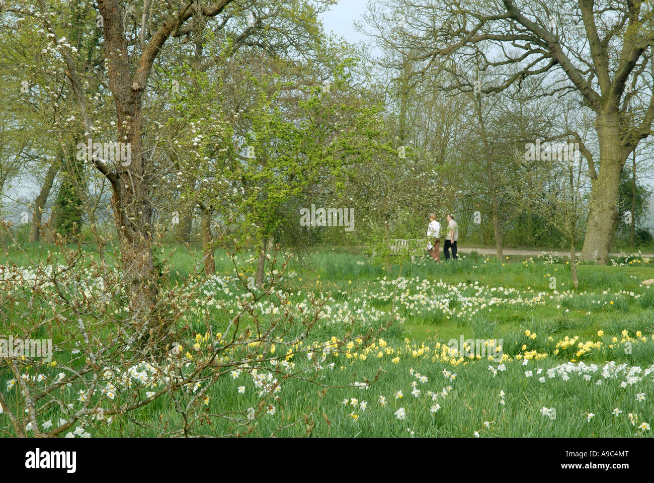Spring flowers at Sissinghurst Castle Gardens in Kent Stock Photo - Alamy