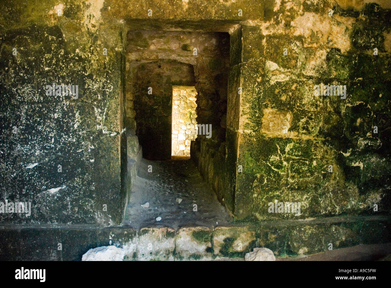 Chichen Itza Yucatan inside a temple, tunnel Mexico Stock Photo - Alamy