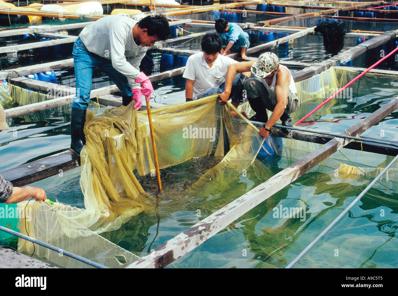 China Fish Farms