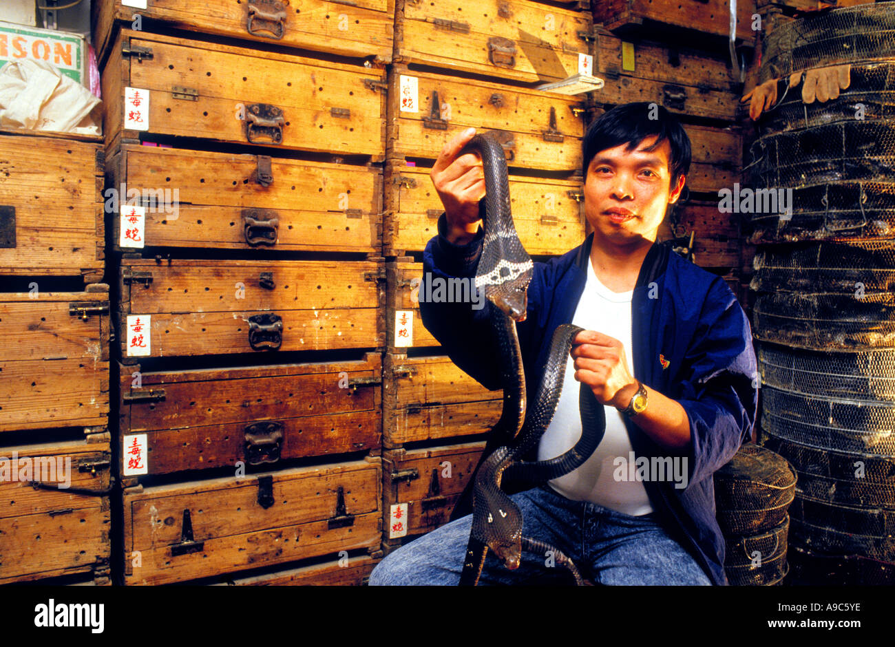 Cobra in snake shop Hong Kong china Stock Photo - Alamy