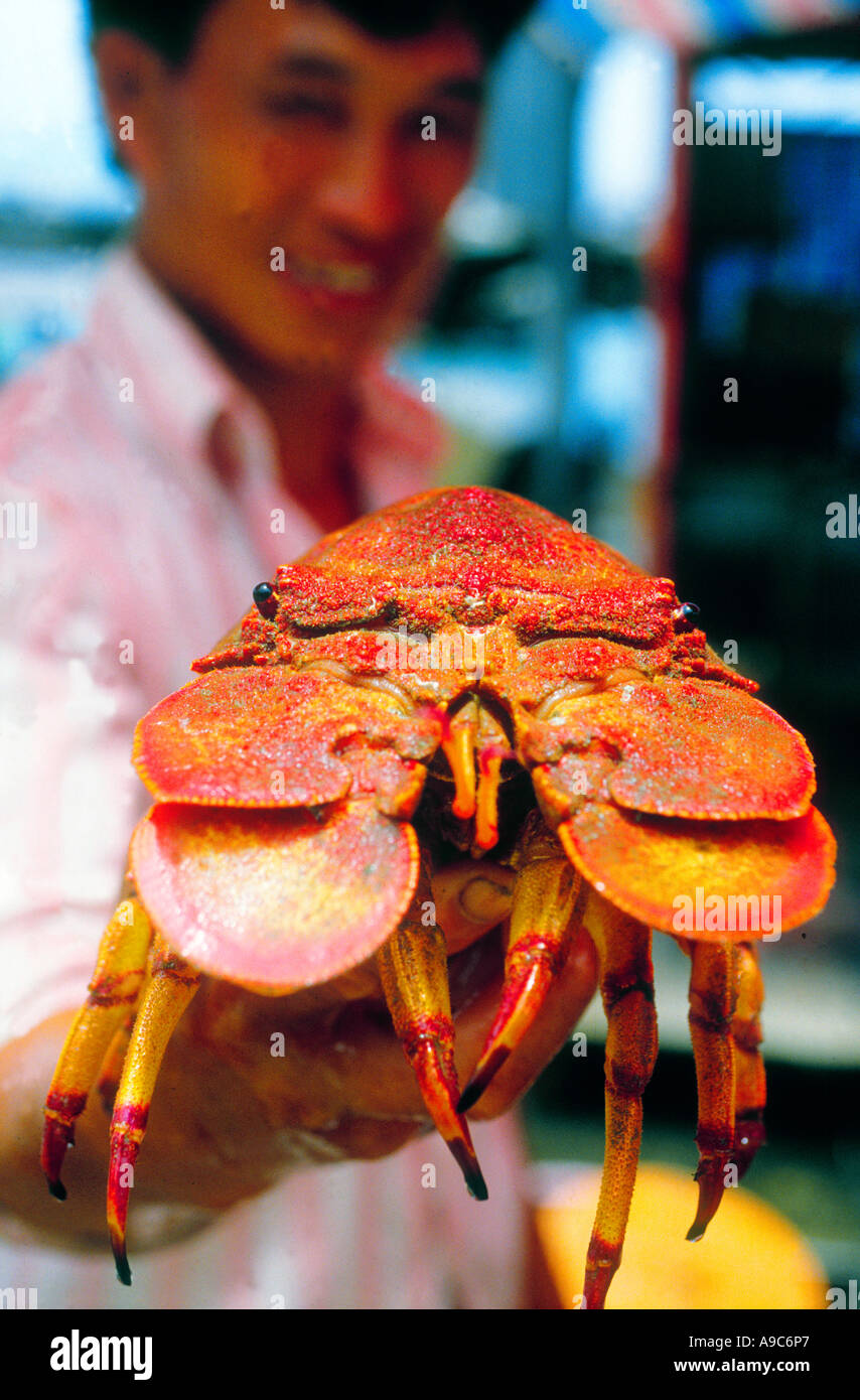 Banquet cuisine lobster seafood hi-res stock photography and images - Alamy