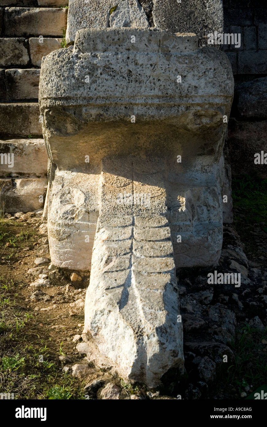 Archeological site ancient diana bier el castillo hi-res stock ...
