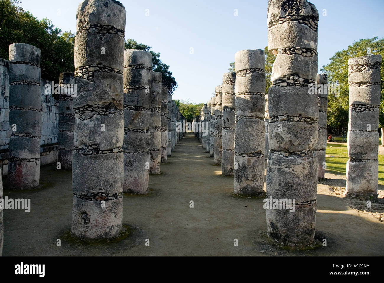 America Latin Mexican Pyramid Maya Diana Bier High Resolution Stock ...
