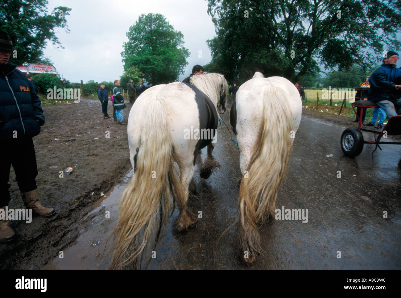 Gypsy horse fair hi-res stock photography and images - Alamy