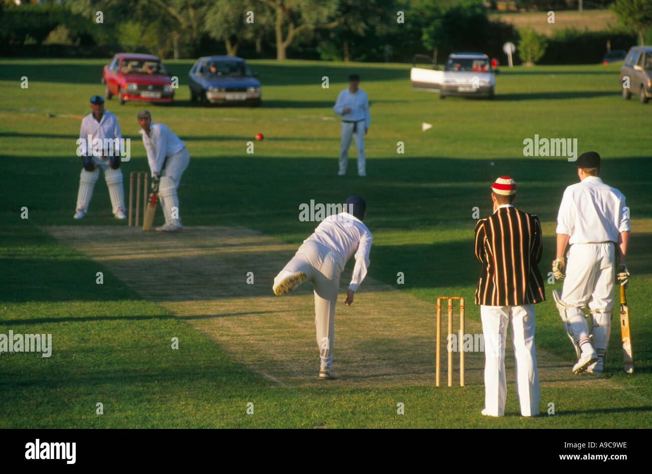 Cricket stretch hi-res stock photography and images - Alamy