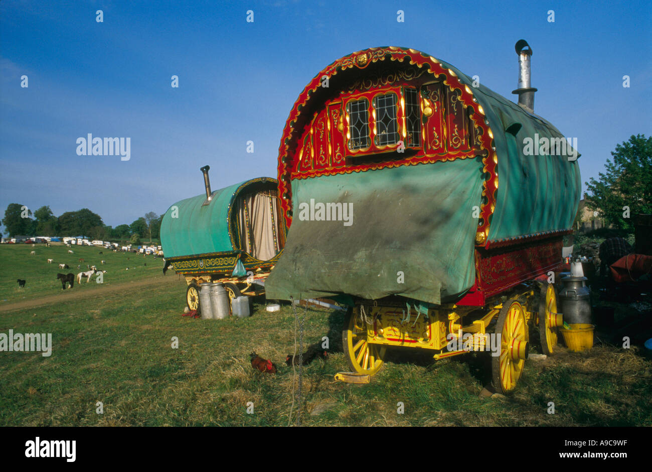 Gypsy horse fair hi-res stock photography and images - Alamy