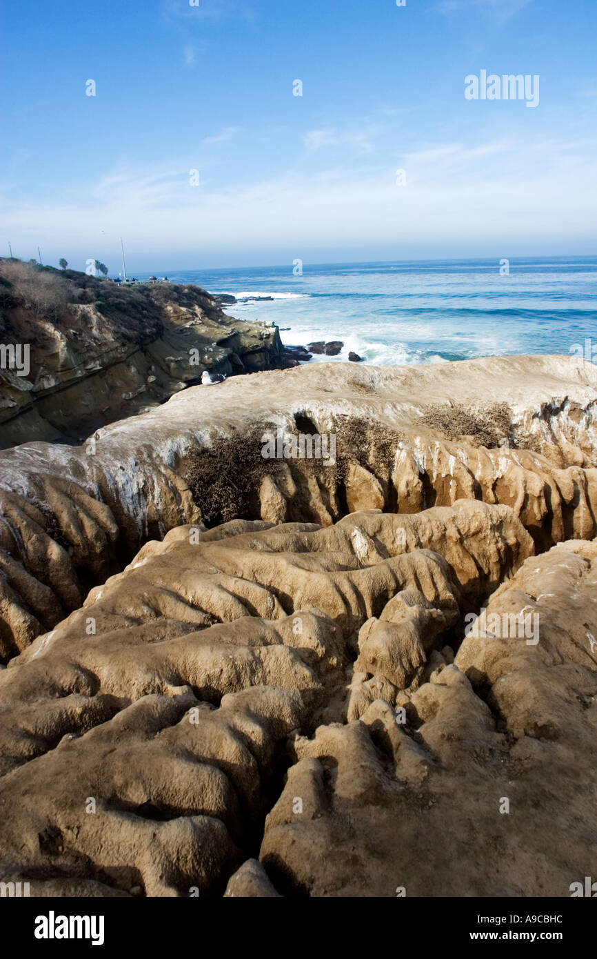 Pelican overlooking beach hi-res stock photography and images - Alamy