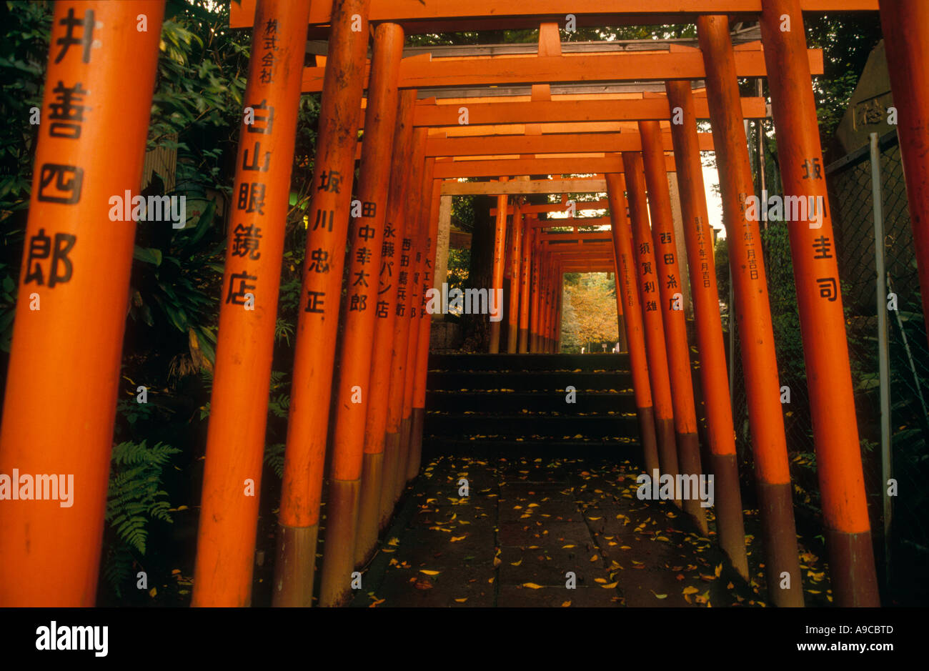 Red Tori gates at Fushimi Inari Kyoto architectural detail corridor of ...