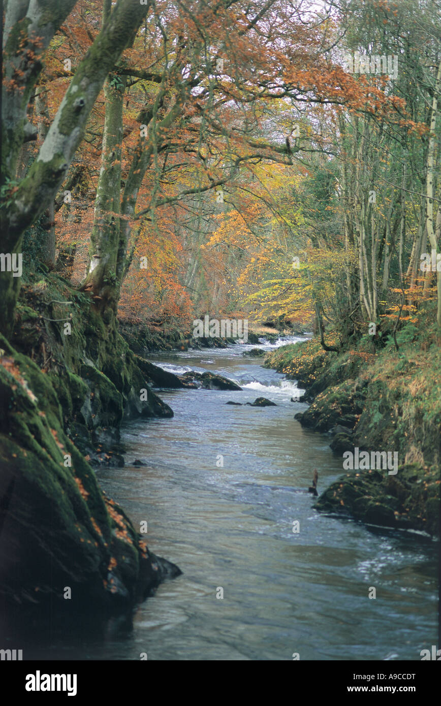 Cothi river hi-res stock photography and images - Alamy