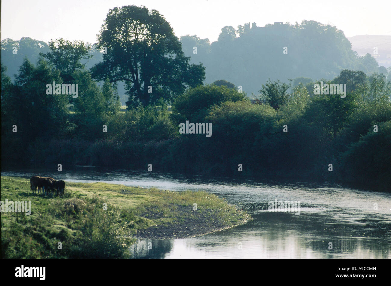 River Tywi Dinefwr Castle from Cilsan Bridge Stock Photo - Alamy