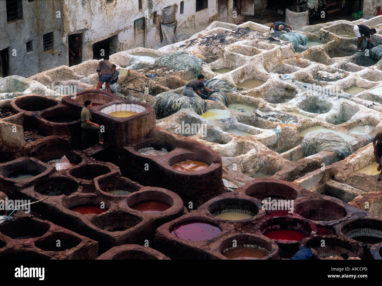 Tannery factory in Fes Fez Medina Morocco Stock Photo - Alamy