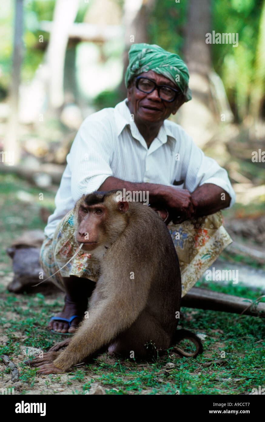 Man with monkey Sabak Beach East coast of Malaysia Stock Photo - Alamy