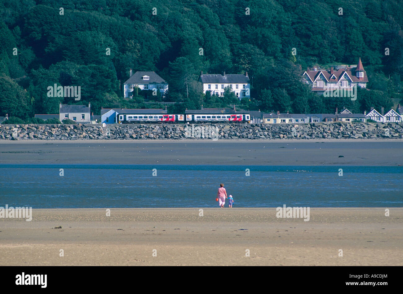 Estuary and Train in Ferryside from Llansteffan Stock Photo - Alamy