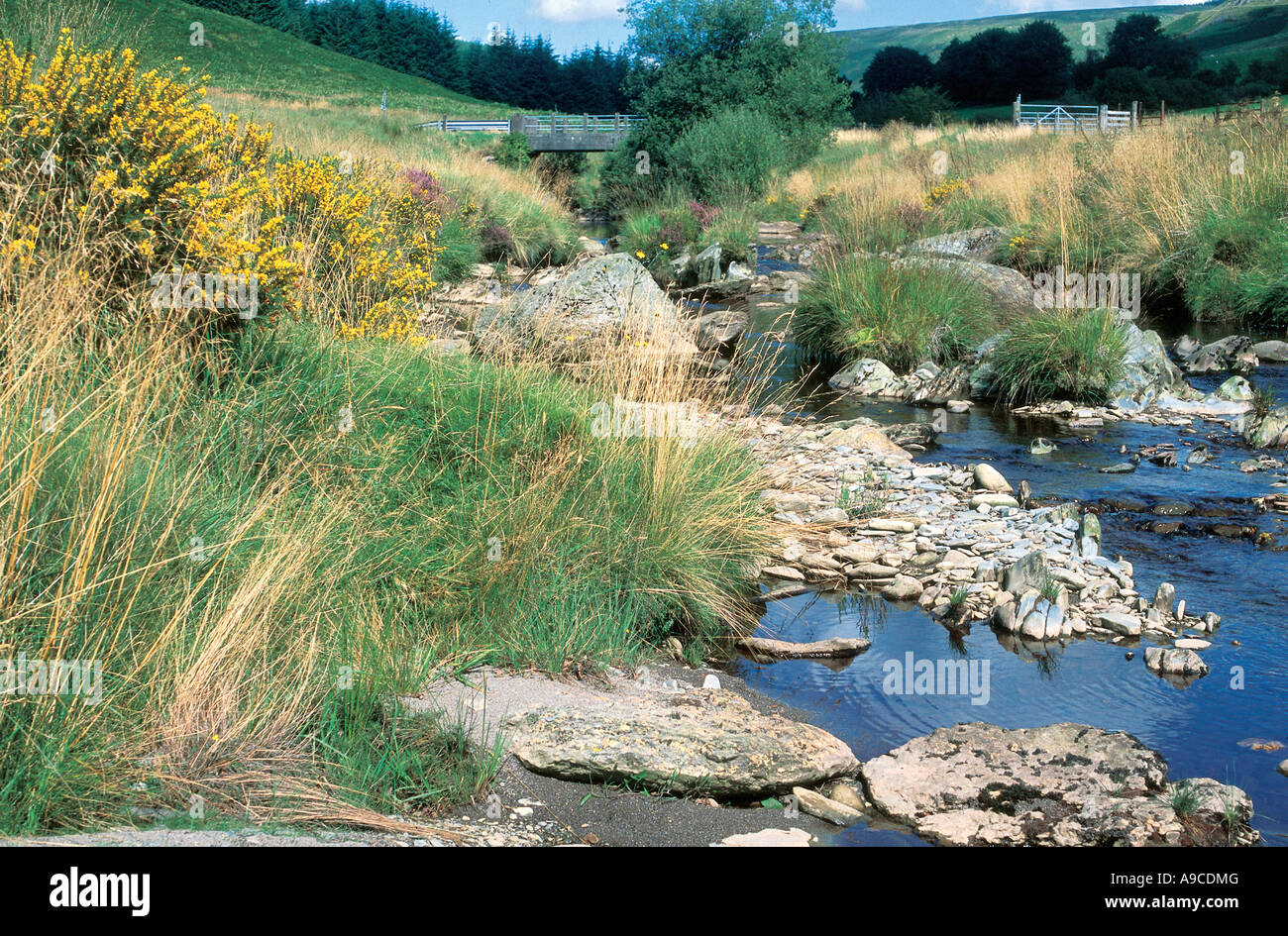 Ford Tywi River near Strata Florida Stock Photo - Alamy