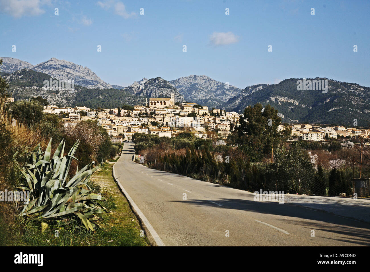 Selva mallorca hi-res stock photography and images - Alamy