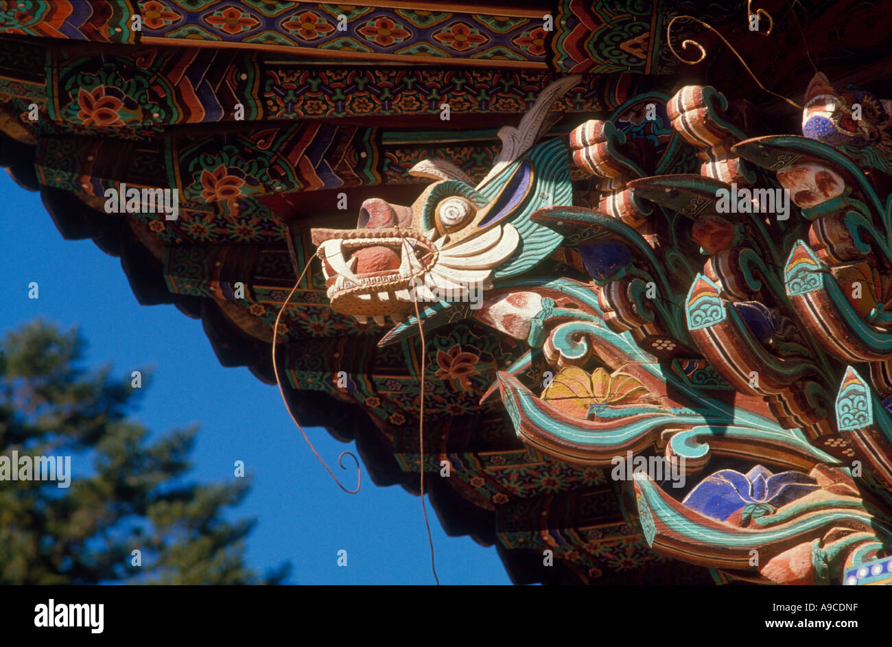 Travel kyongju south korea hi-res stock photography and images - Alamy