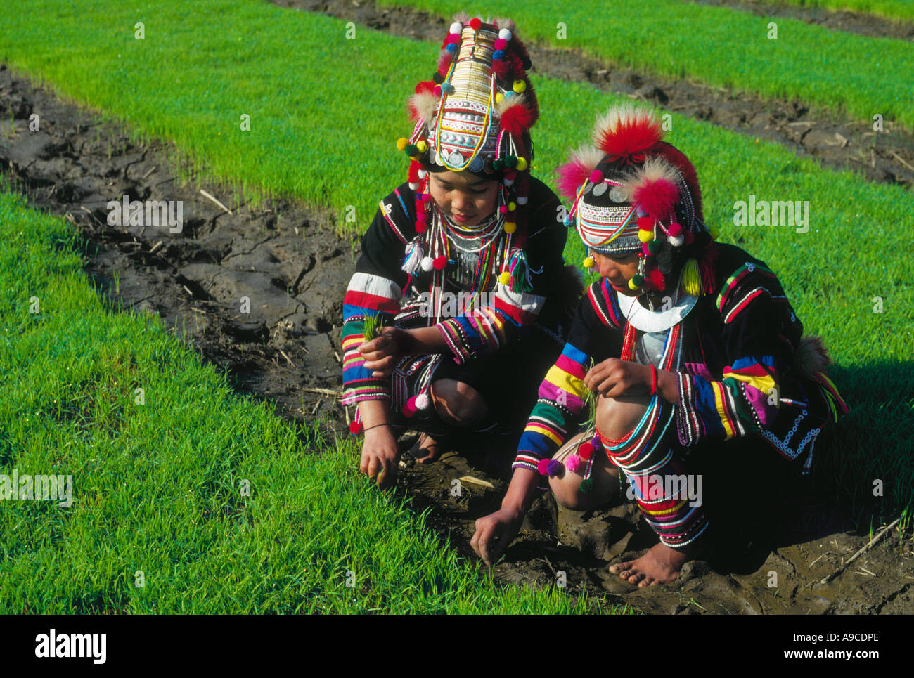 Ahka akha hill tribe hi-res stock photography and images - Alamy