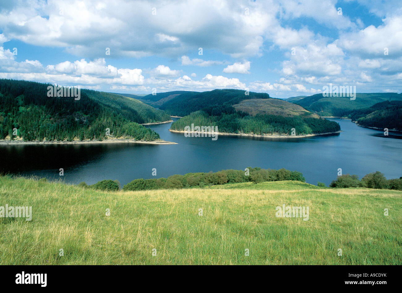 Llyn Brianne Reservoir Near Rhandirmwyn Stock Photo - Alamy